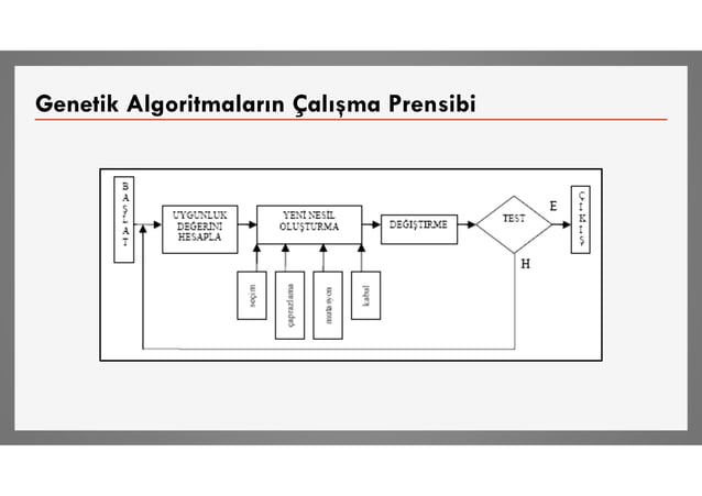 Genetic Algorithm Examples & Presentation (in Turkish) | PDF