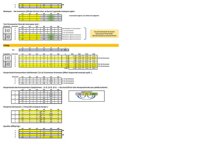 Genetic Algorithm Examples & Presentation (in Turkish) | PDF