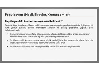 Genetic Algorithm Examples & Presentation (in Turkish) | PDF