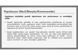 Genetic Algorithm Examples & Presentation (in Turkish) | PDF