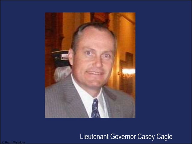 Georgia's Executive Branch | PPTX