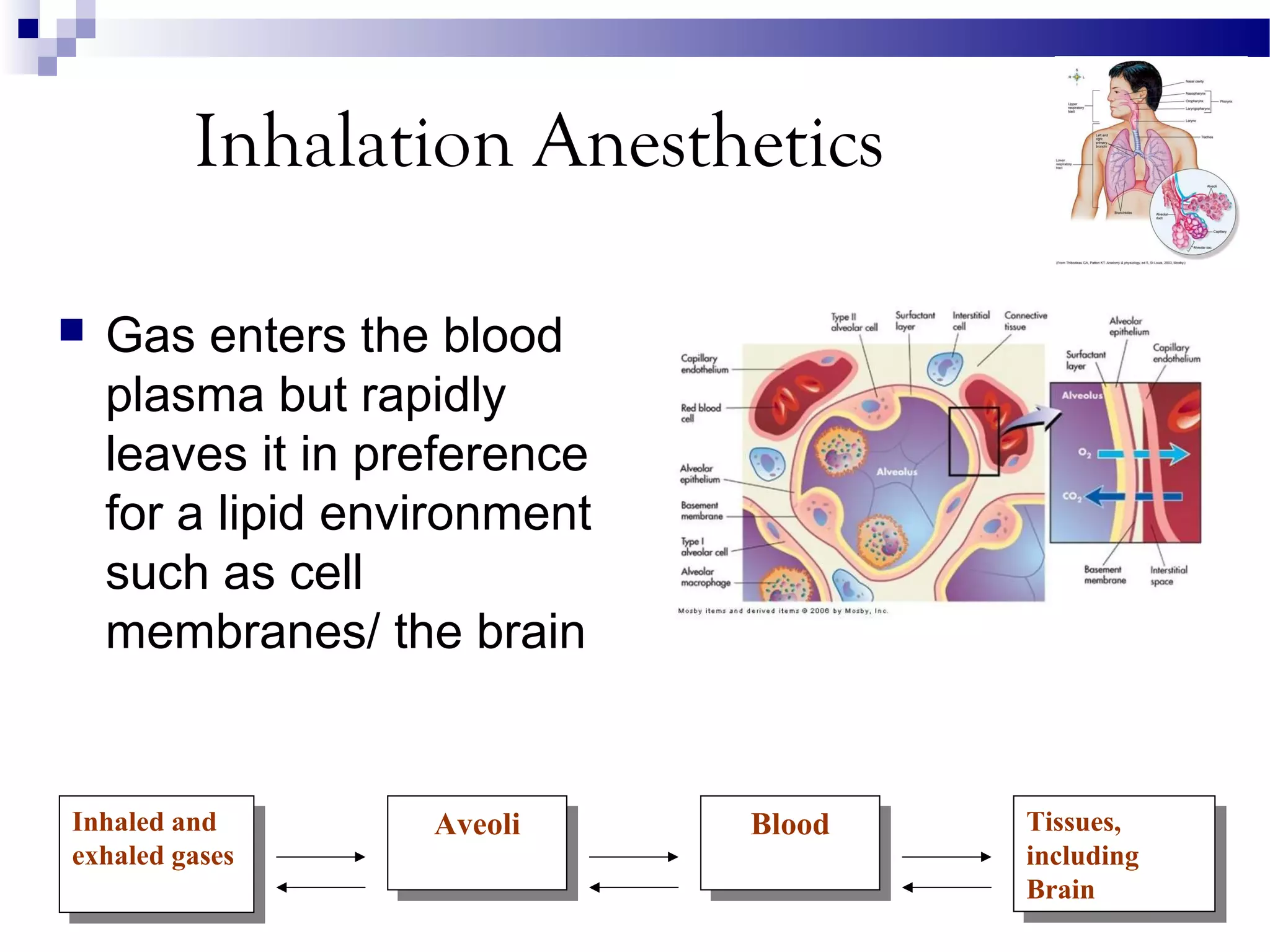 Introduction to Anesthesia for medical students | PPT