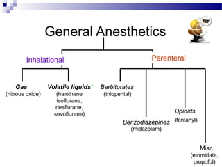 Introduction to Anesthesia for medical students | PPT