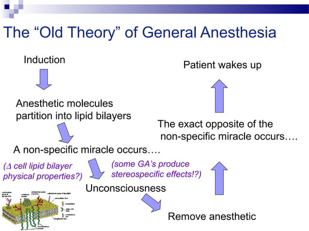 Introduction to Anesthesia for medical students | PPT
