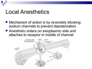 Introduction to Anesthesia for medical students | PPT