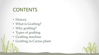 Gafting and grafting in cactus altaf.n | PPTX