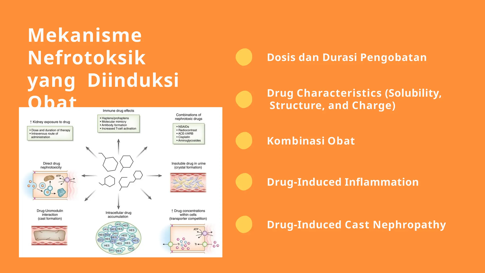 Gagal Ginjal dan obat obat an nefrotoksik.pptx