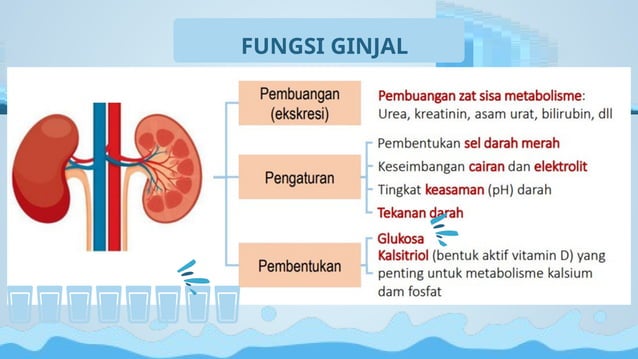 GAGAL GINJAL DINI bagaimana pencegahannya bagi anak.pptx