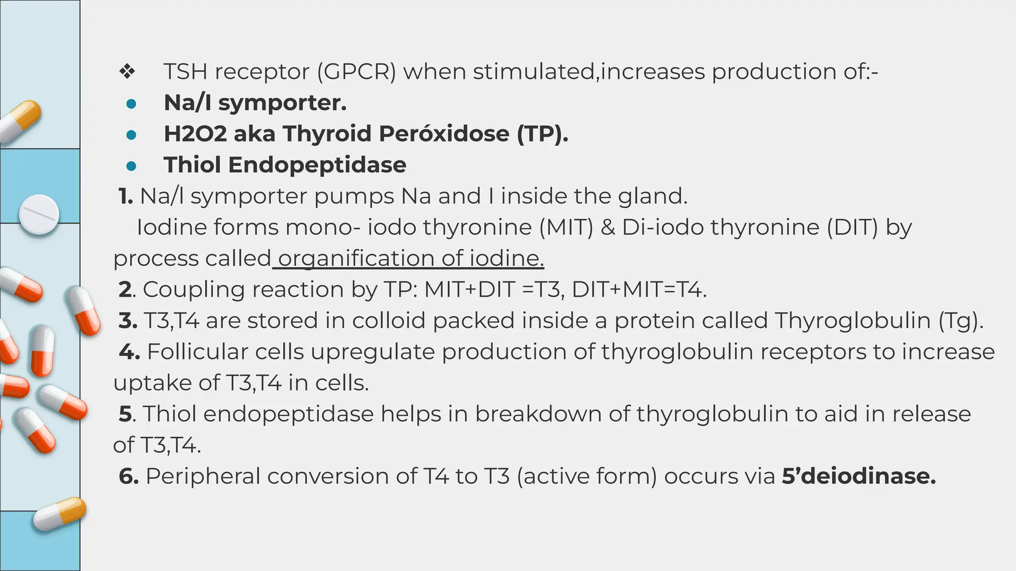 Thyroid inhibitors slides prepared by medical student | PPT