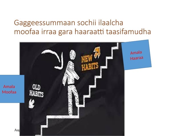 Gaggeessummaa fi Gaggeessaa Jijjiiramaa.pptx