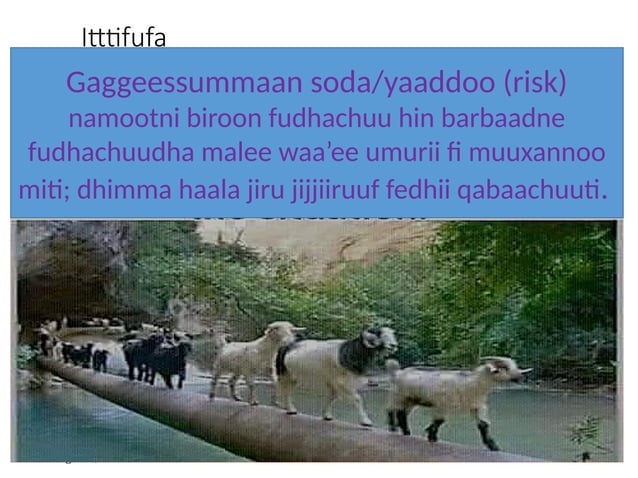 Gaggeessummaa fi Gaggeessaa Jijjiiramaa.pptx