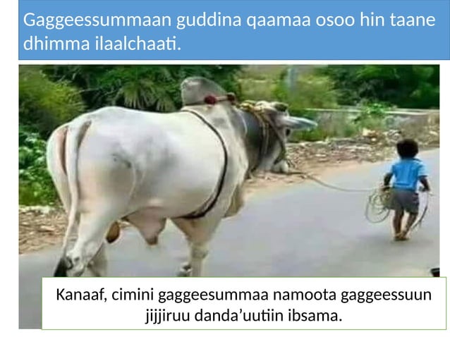 Gaggeessummaa fi Gaggeessaa Jijjiiramaa.pptx