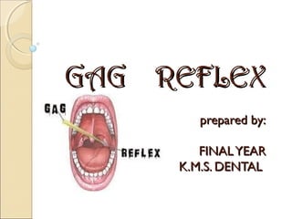 Gag Reflex Meaning