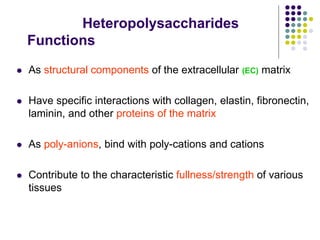 glucose amino glycans | PPT