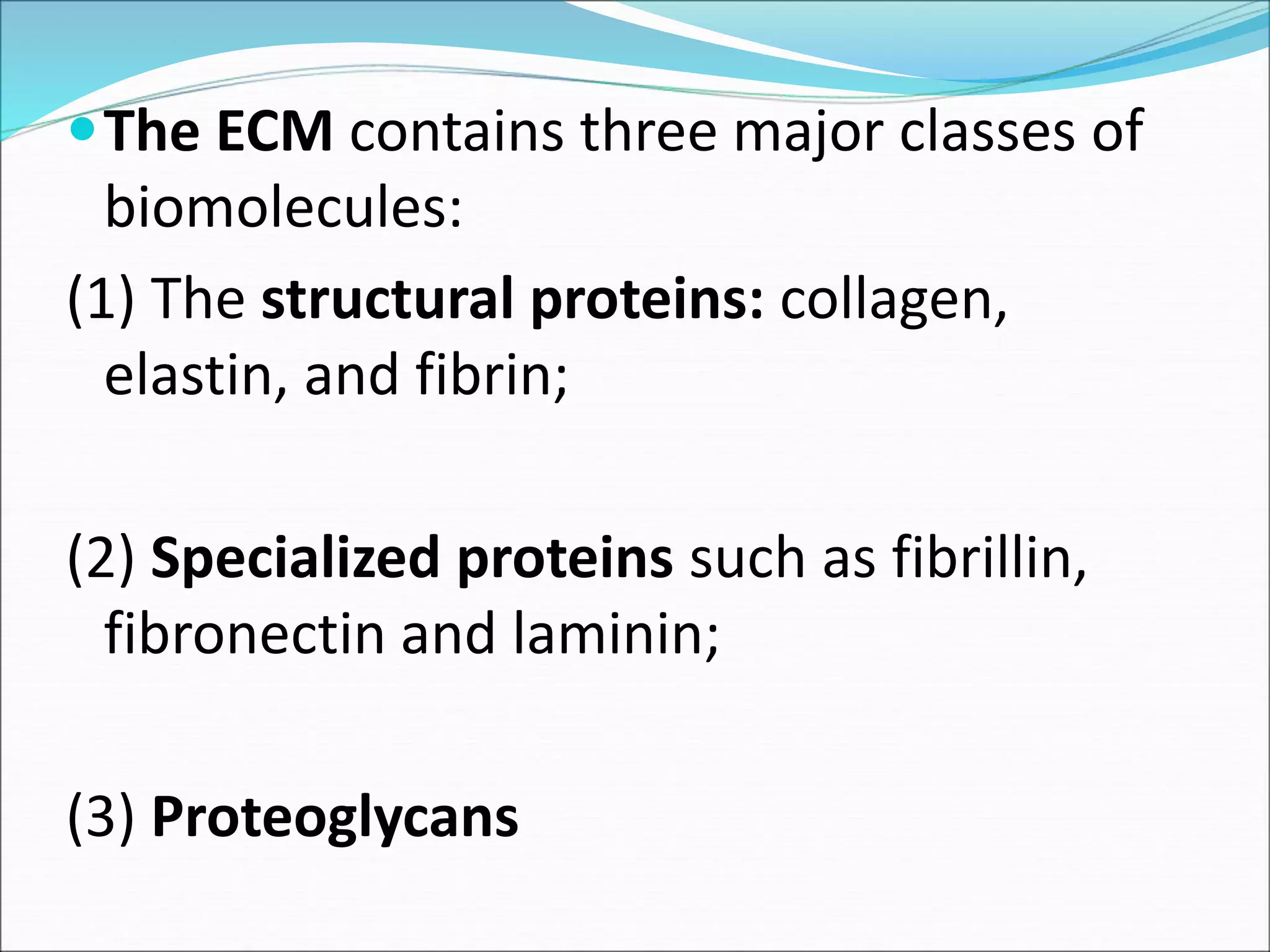 Glycosaminoglycans | PPTX