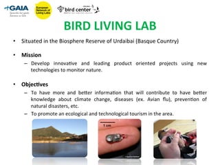 GAIA Bird Living Lab by Ligia Whyte | PDF