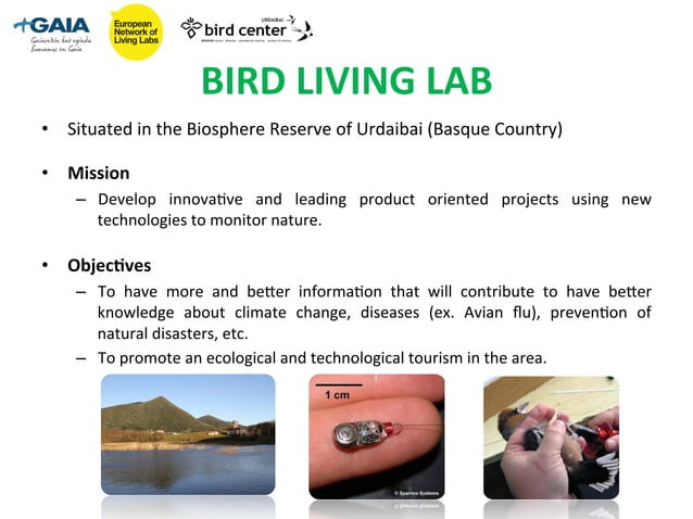 GAIA Bird Living Lab by Ligia Whyte | PPT