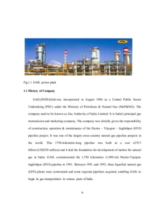 GAIL(India)Ltd.,PATA Petrochemical Complex | DOCX