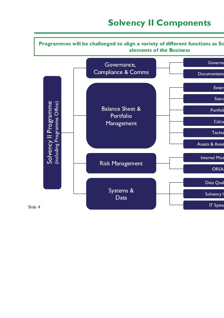 Solvency - II Programme Setup