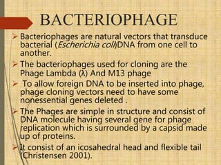 Cloning vectors used in genetic engineering pptx | PPTX