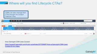 Customer Lifecycle CTA's | PDF