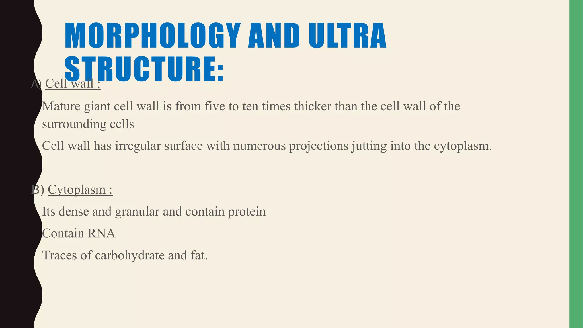 GIANT CELLS | PPTX