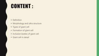 GIANT CELLS | PPTX