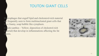 GIANT CELLS | PPTX