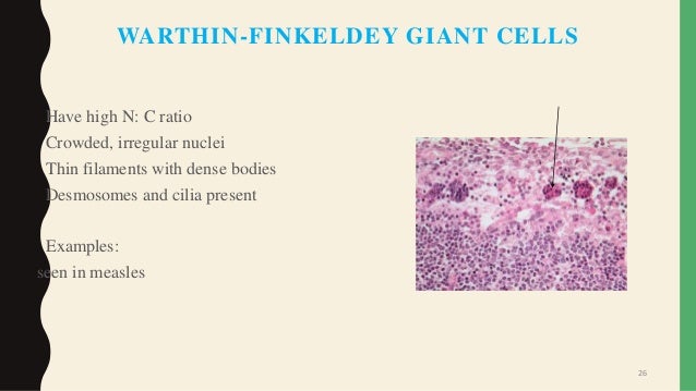 GIANT CELLS