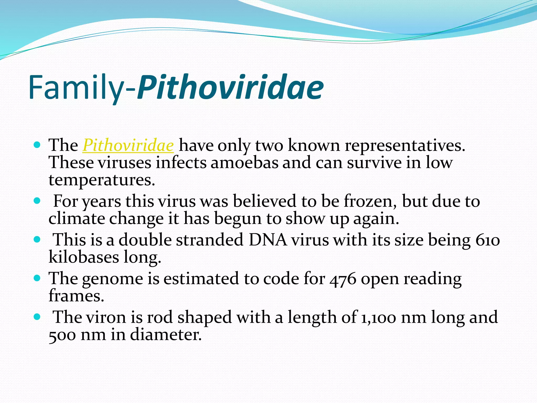 Gaint viruses | PPTX