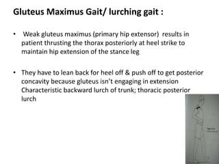 Biomechanics Gait Gait cycle types .pptx