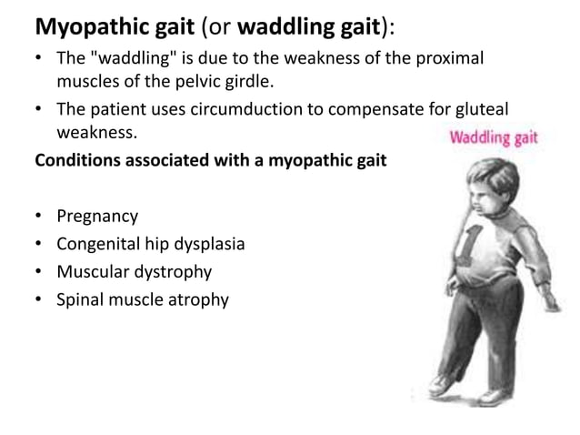 Biomechanics Gait Gait cycle types .pptx