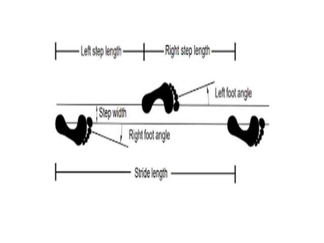 Biomechanics Gait Gait cycle types .pptx