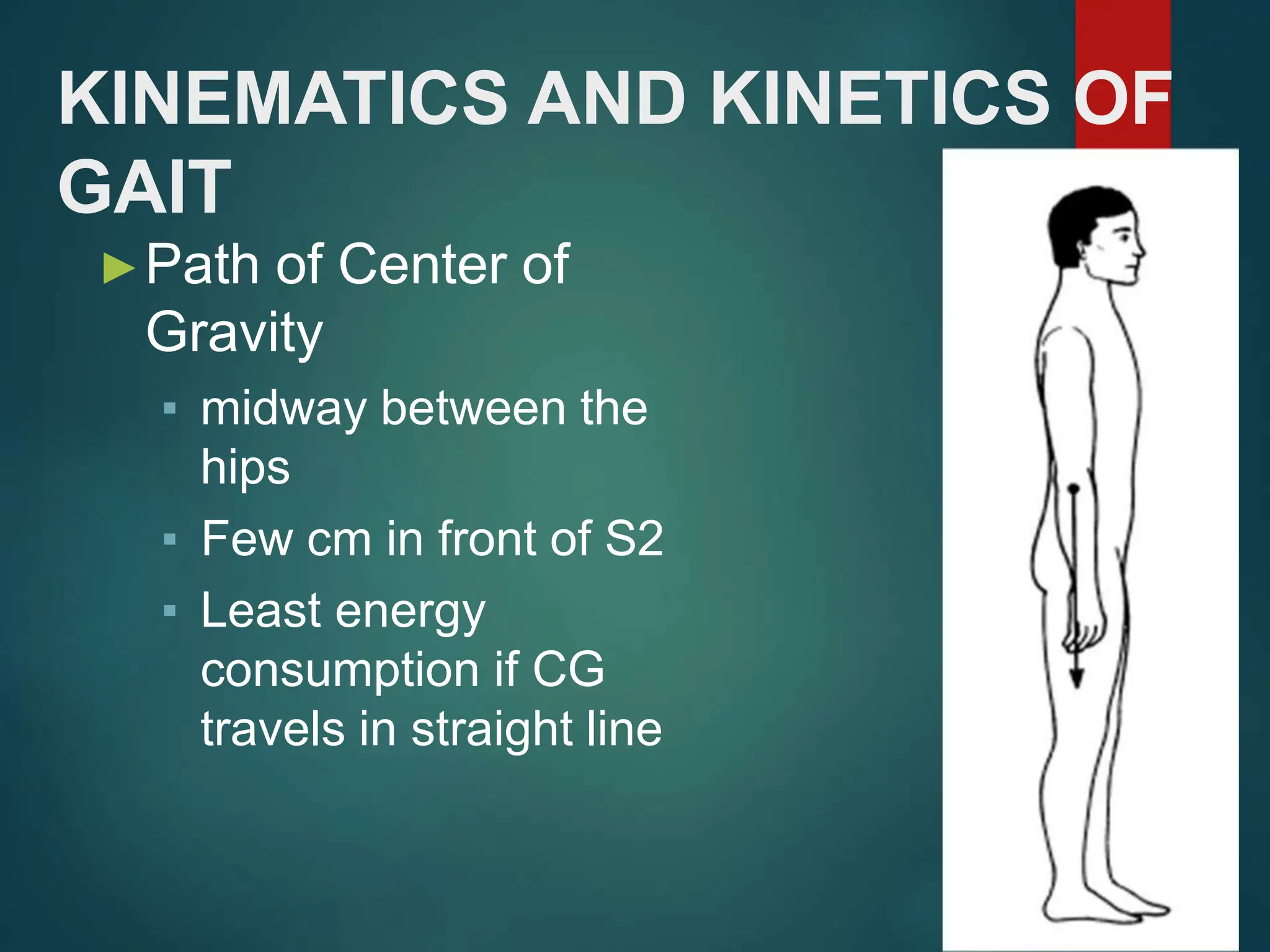 gait cycle gait kinematic and pathological gait.pptx