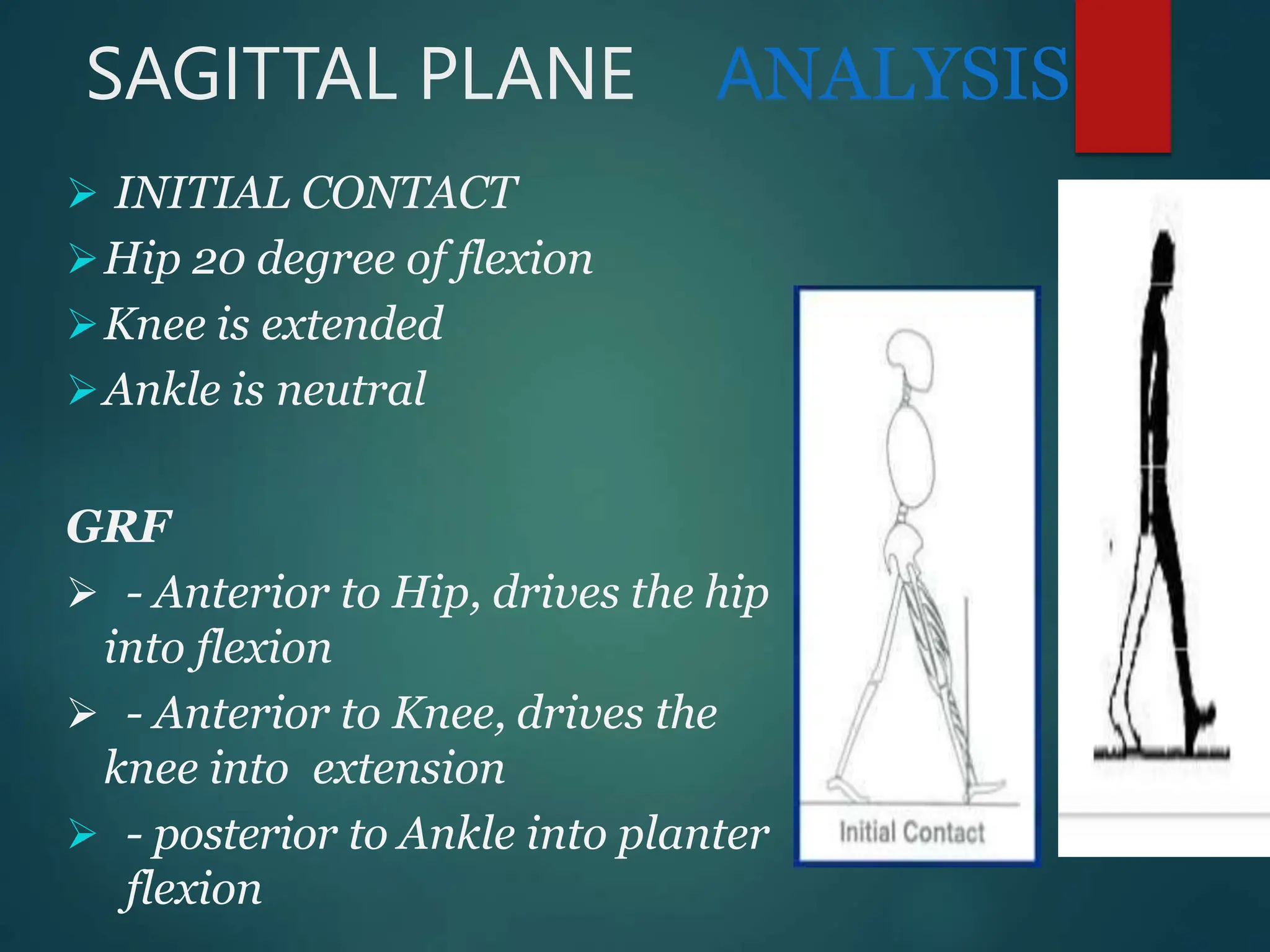 gait cycle gait kinematic and pathological gait.pptx