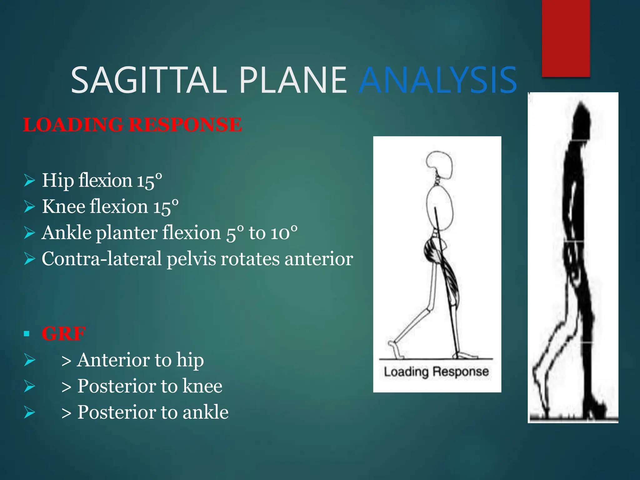 gait cycle gait kinematic and pathological gait.pptx