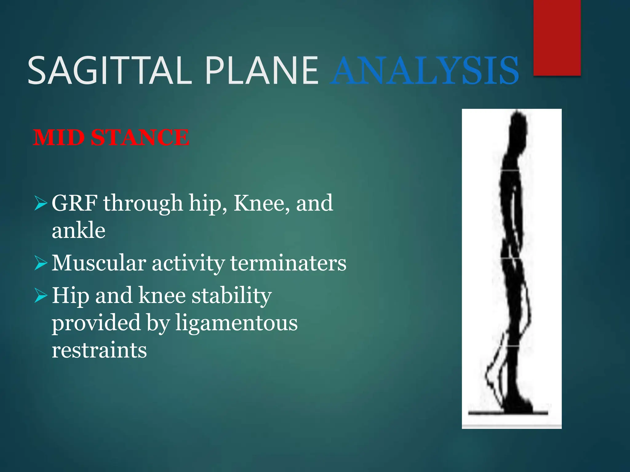 gait cycle gait kinematic and pathological gait.pptx