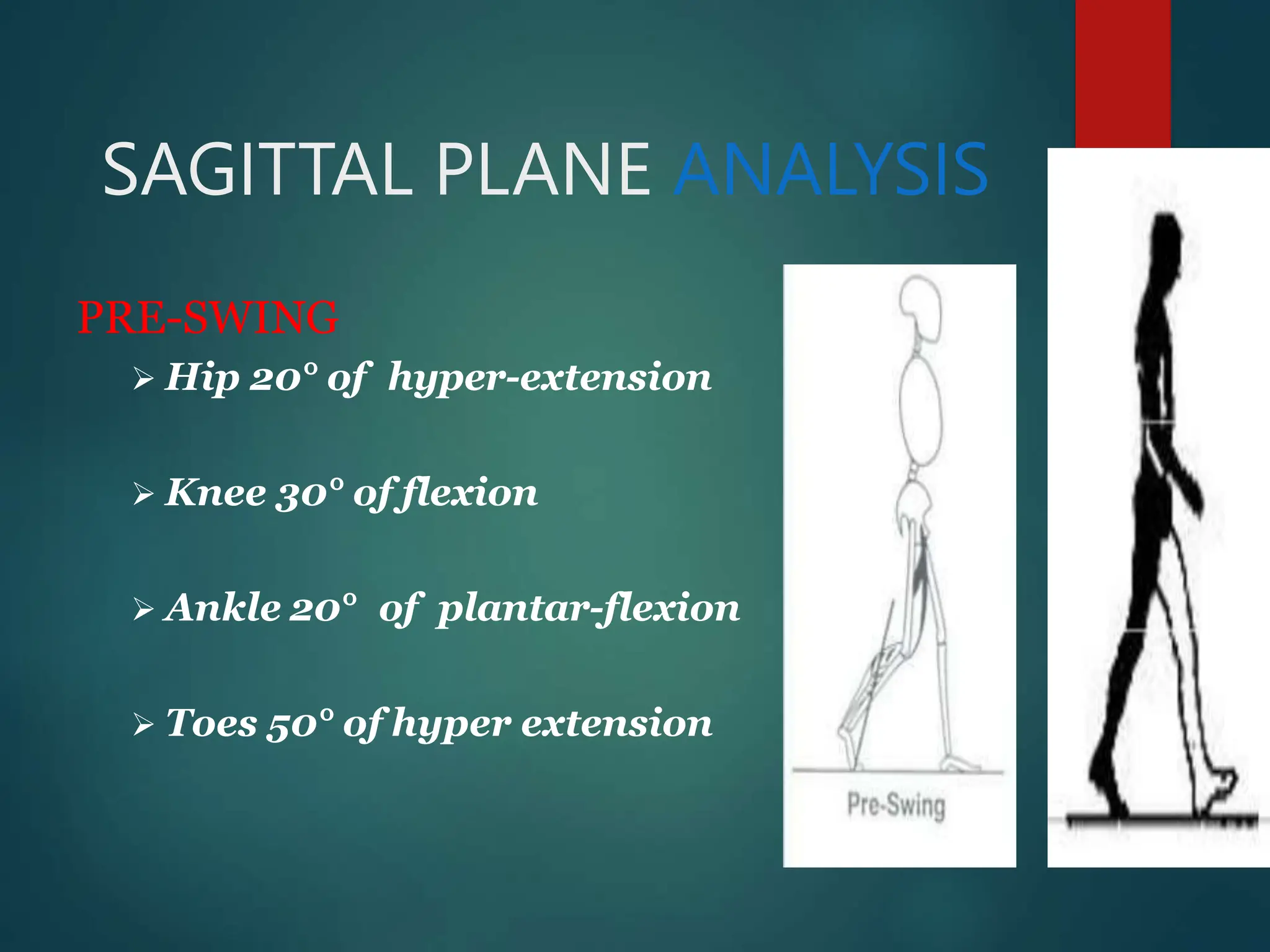 gait cycle gait kinematic and pathological gait.pptx