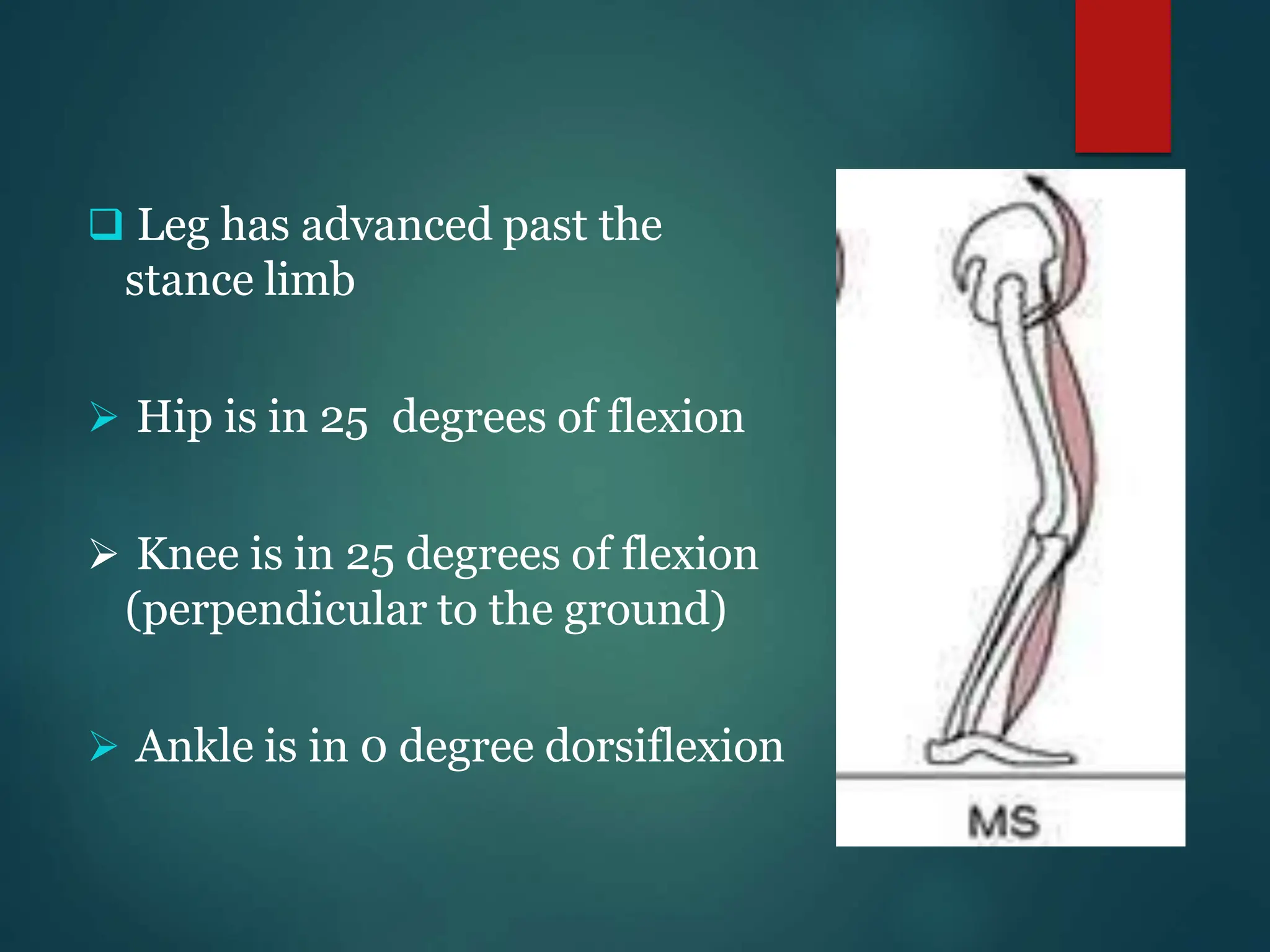 gait cycle gait kinematic and pathological gait.pptx