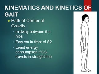 gait cycle gait kinematic and pathological gait.pptx