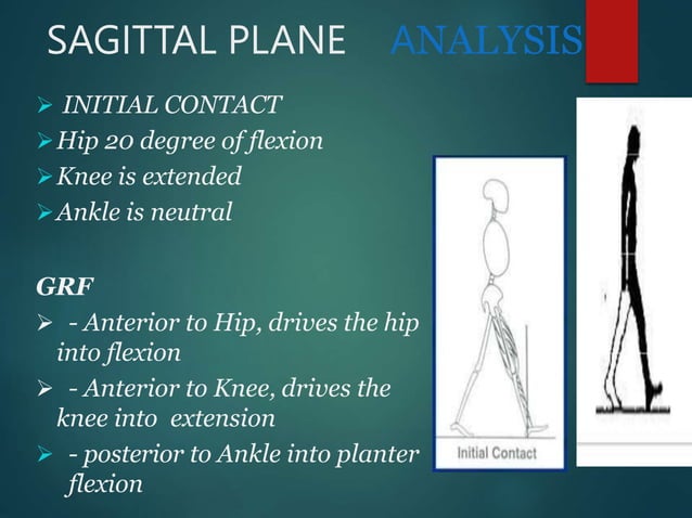 gait cycle gait kinematic and pathological gait.pptx