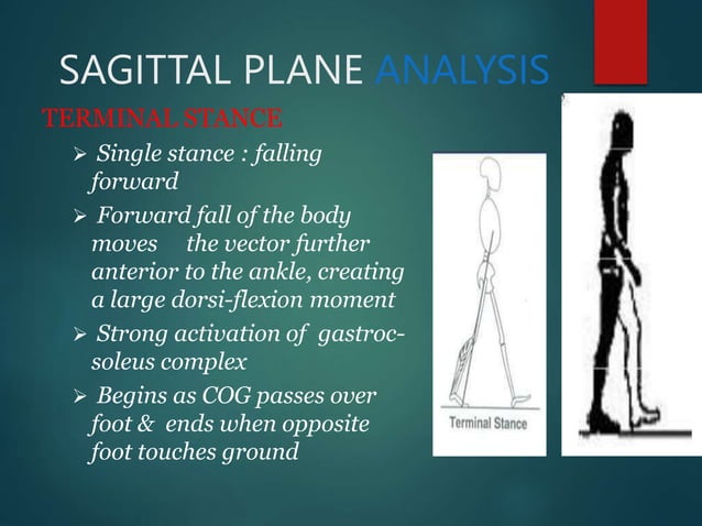 gait cycle gait kinematic and pathological gait.pptx