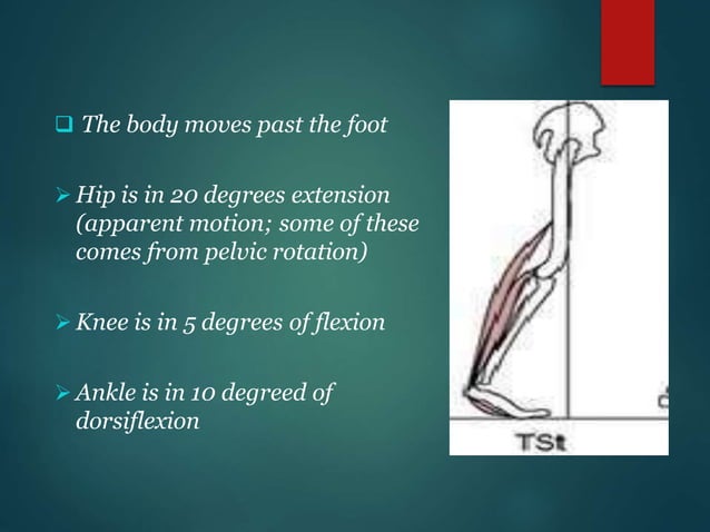 gait cycle gait kinematic and pathological gait.pptx