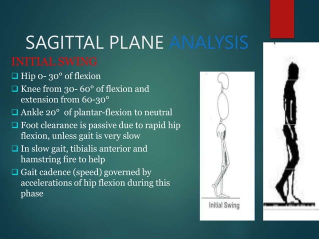 gait cycle gait kinematic and pathological gait.pptx