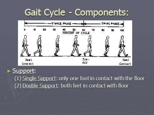 gait cycle gait kinematic and pathological gait.pptx