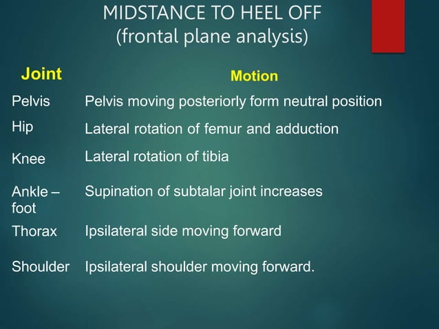 gait cycle gait kinematic and pathological gait.pptx
