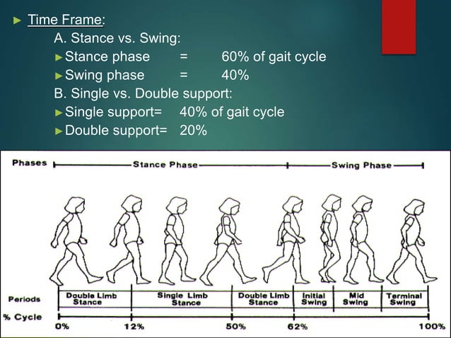 gait cycle gait kinematic and pathological gait.pptx