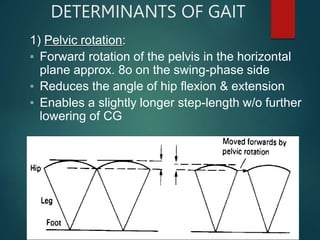 gait cycle gait kinematic and pathological gait.pptx