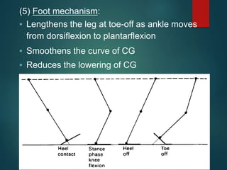 gait cycle gait kinematic and pathological gait.pptx