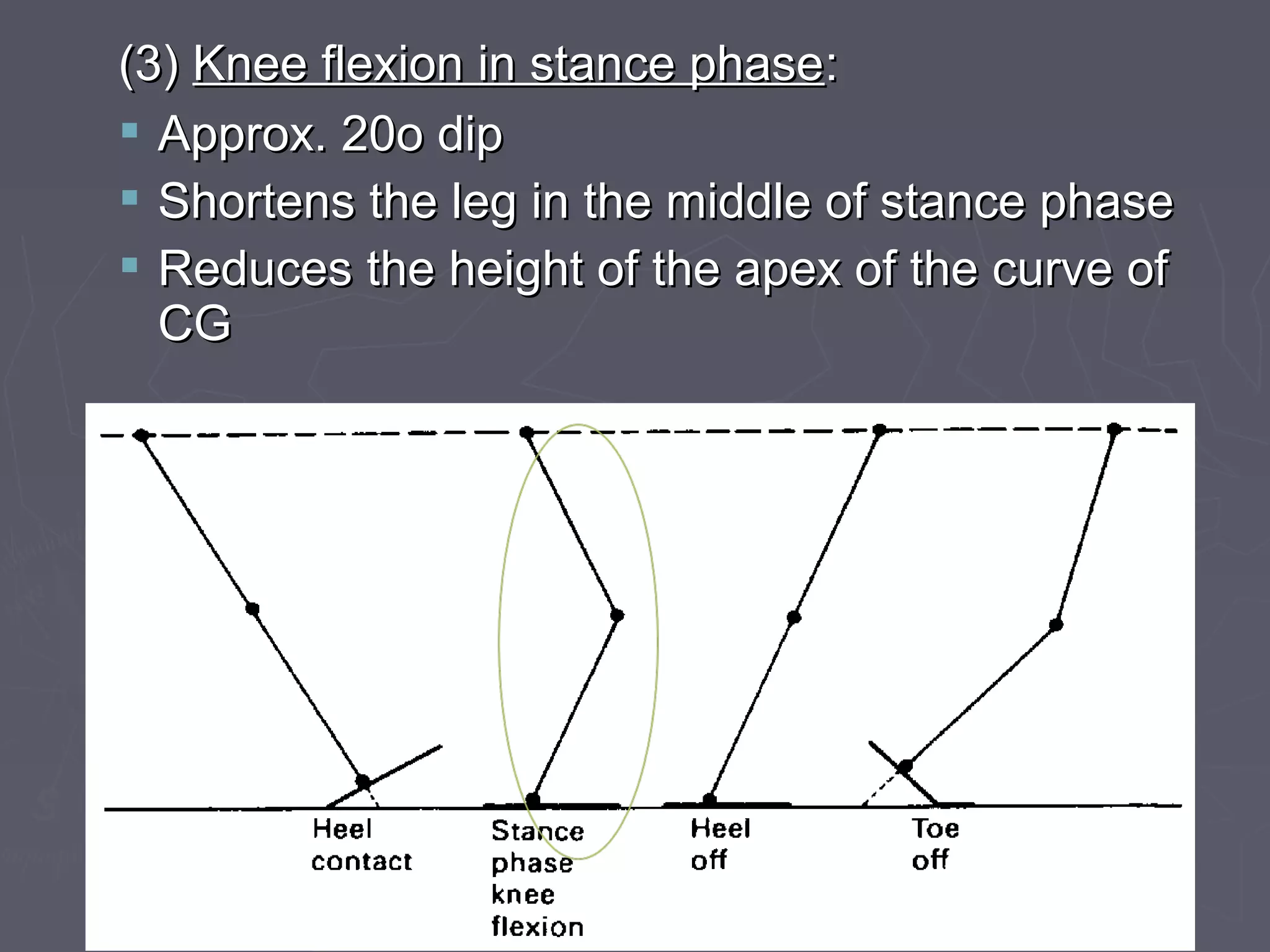 Gait | PPT
